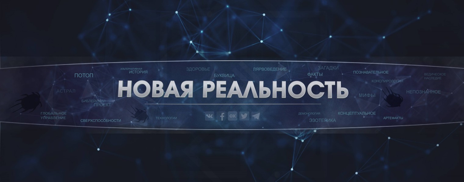 Новая реальность