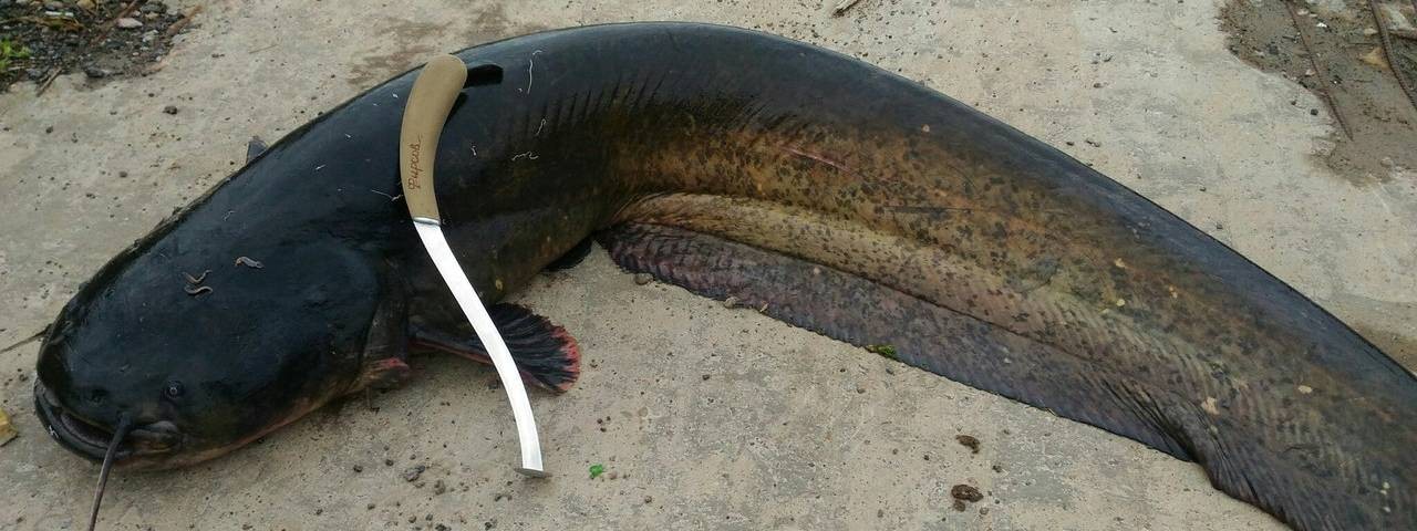 Володя Фирсов.