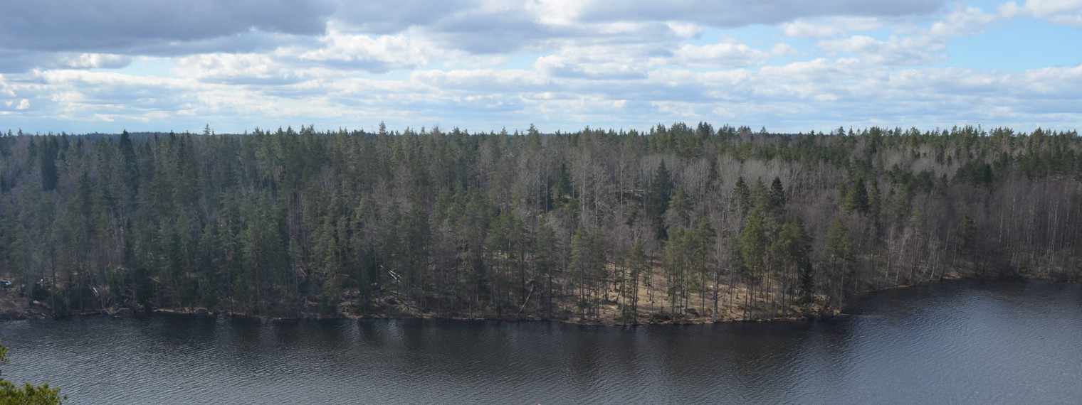 Поход Выходного Дня