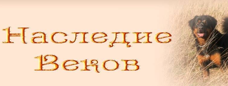 Наследие Веков