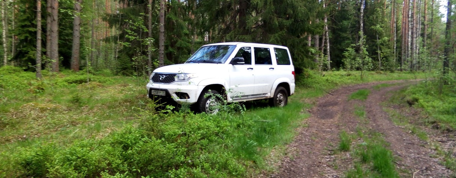 Павел Морозов БОЯРИН