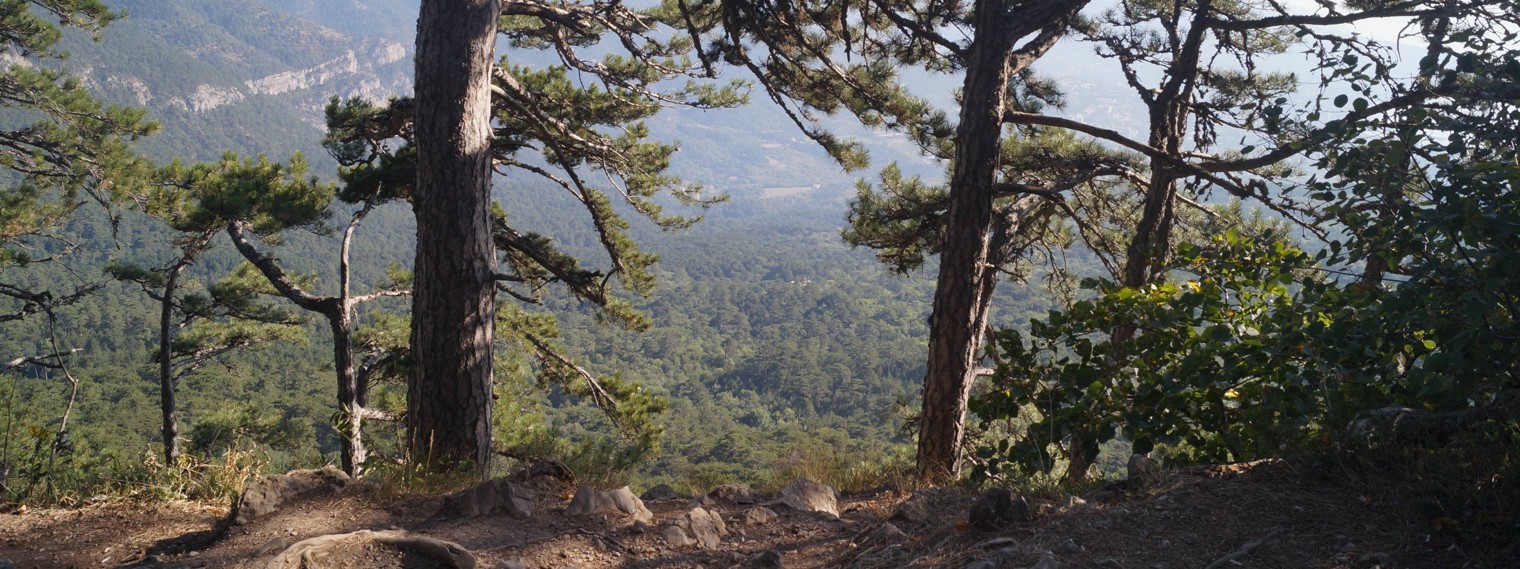 Александр Чукланов