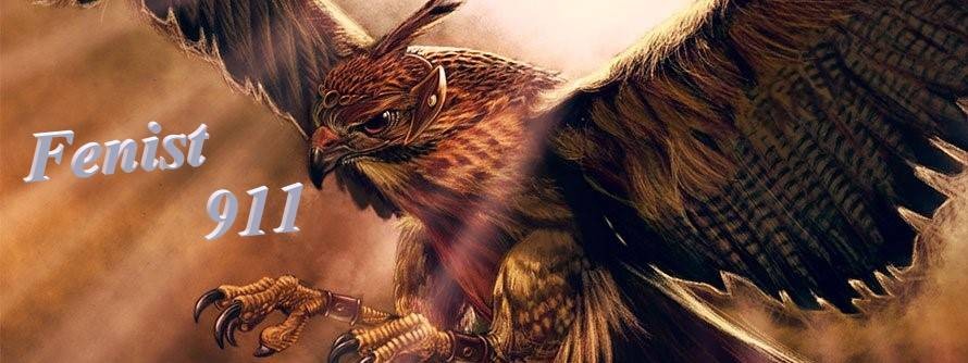 Fenist 911