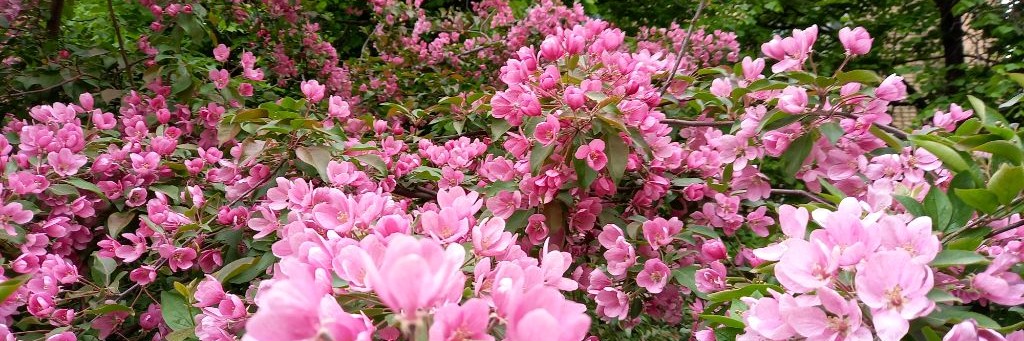 Наталья Говорова