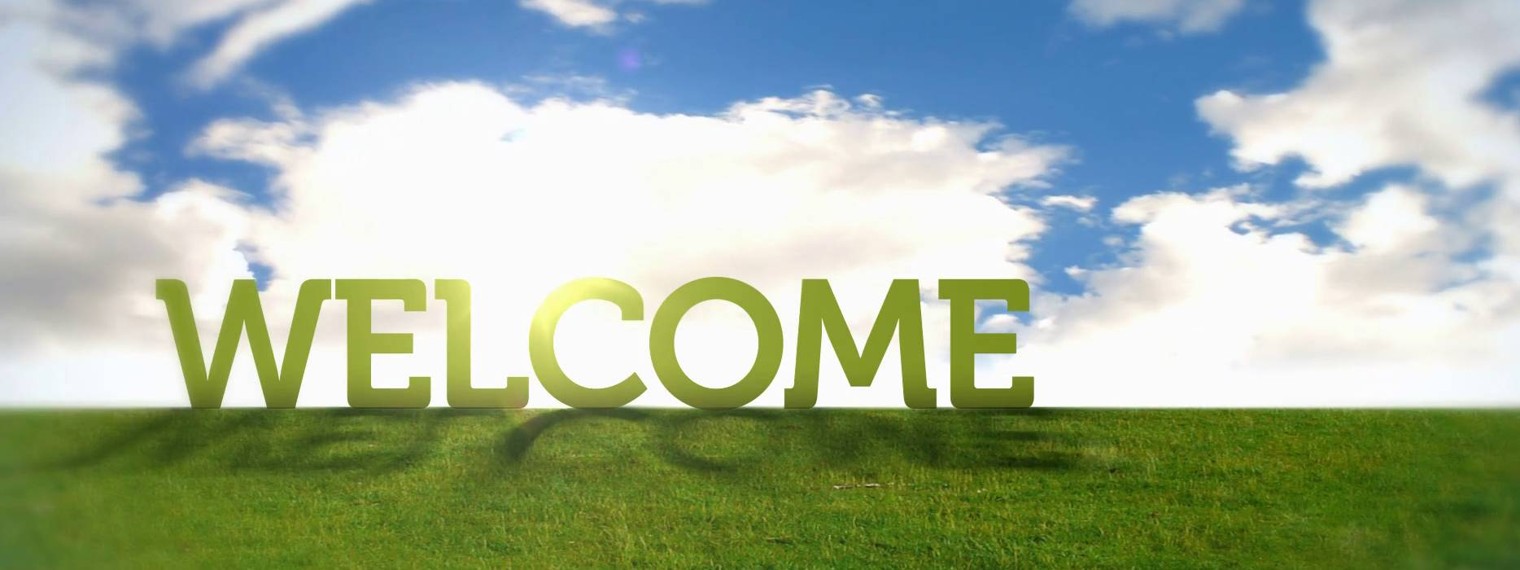 Наташа Овчинникова. Саморазвитие