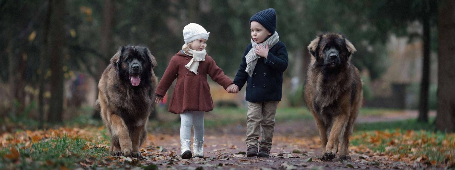 Кинологический портал г.Екатеринбурга