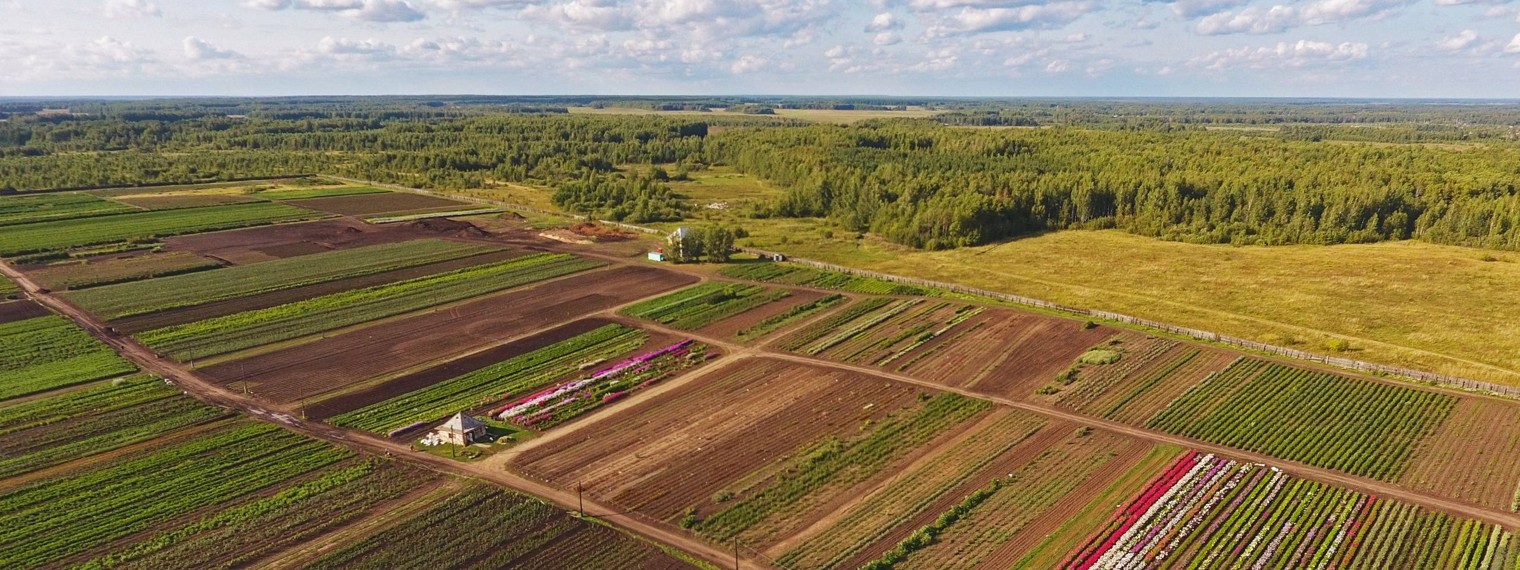 Сады Урала им. Миролеевой А.Н.