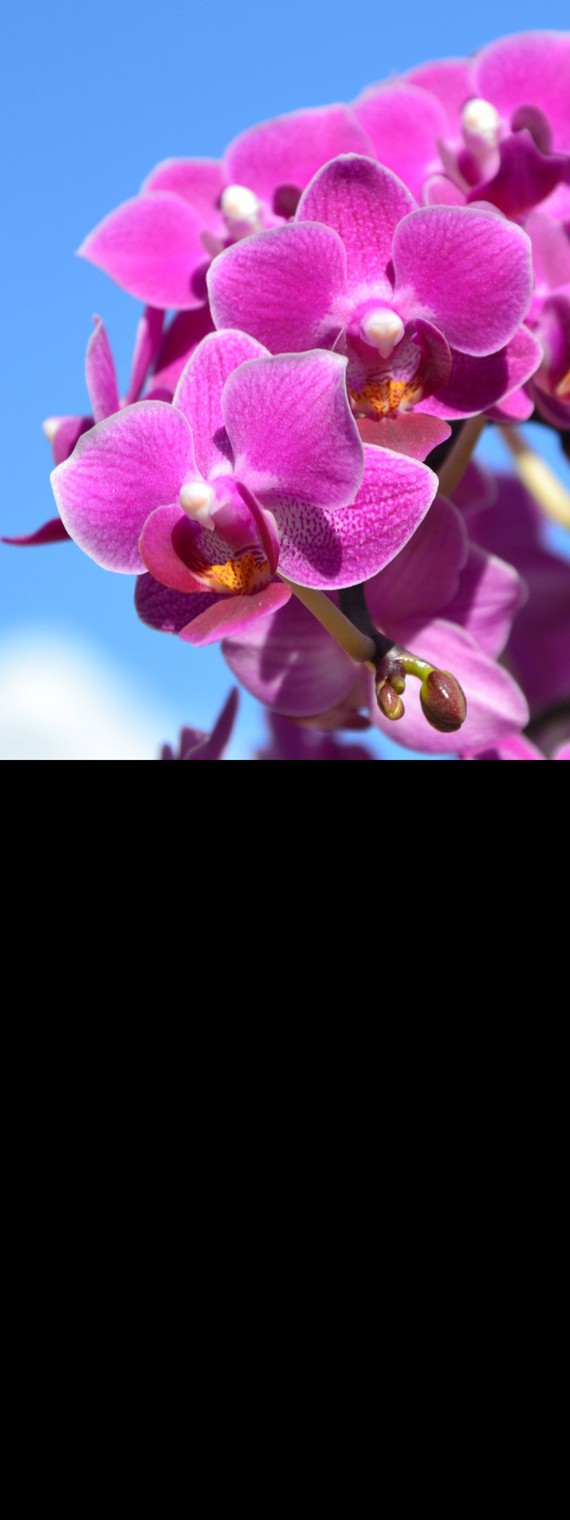 Эко Дача у реки