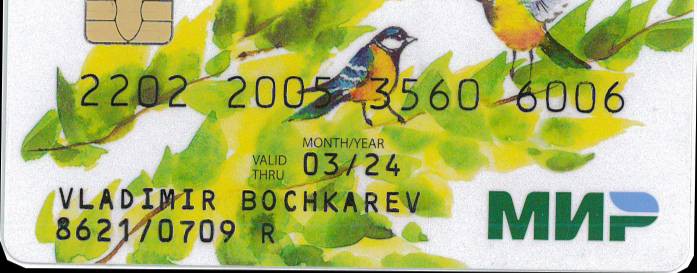 Wise Bochkarev