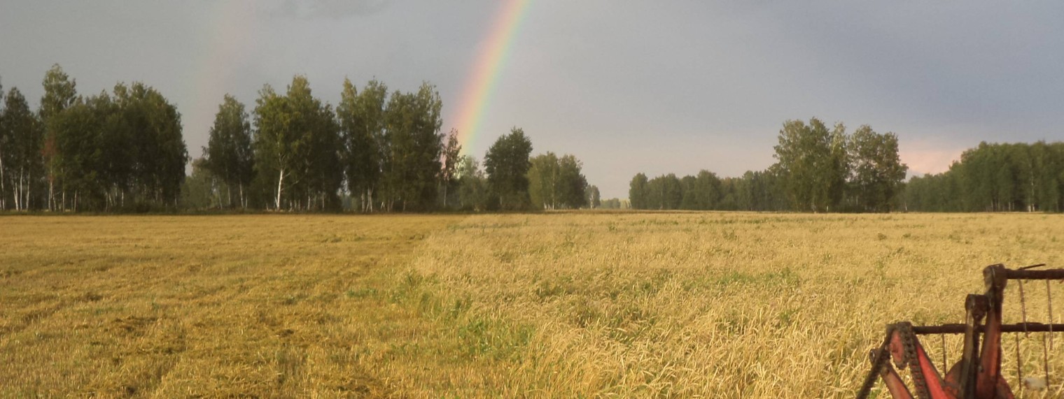 Колхоз с НУЛЯ