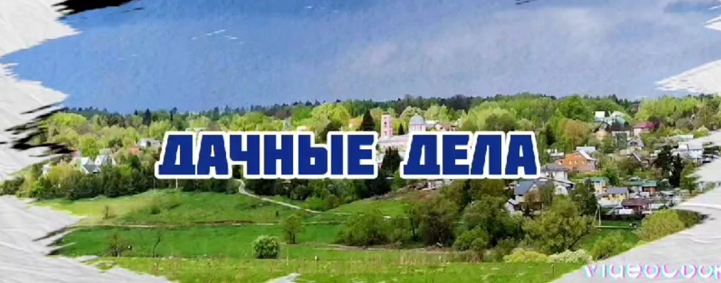 Дачные дела