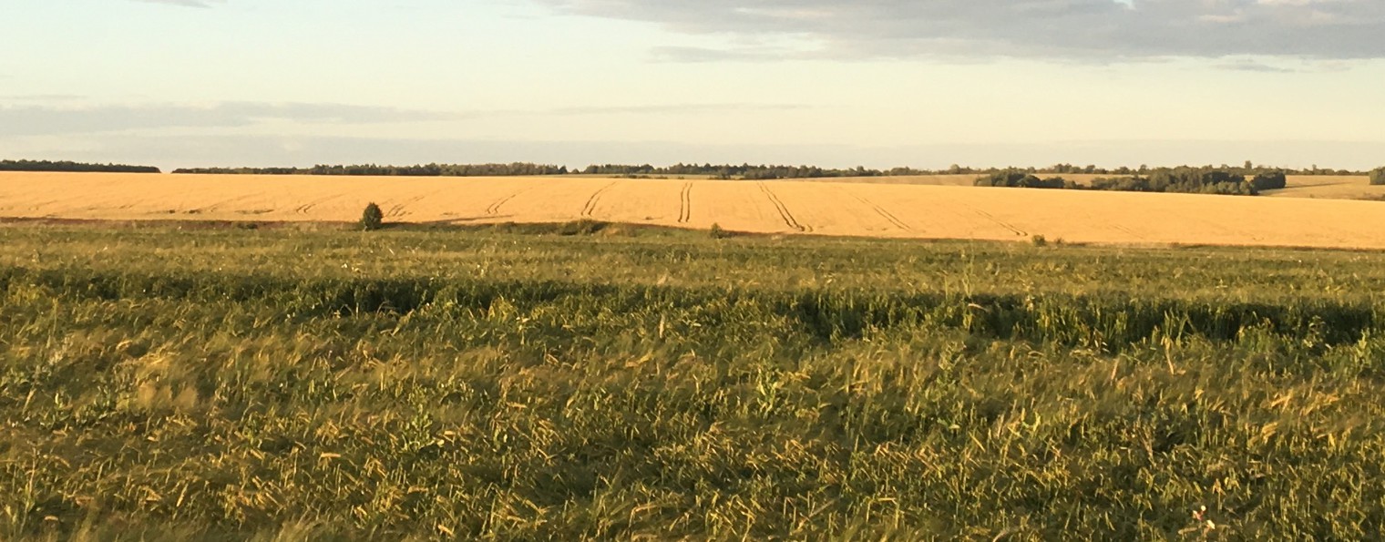 ЗдесьАртём!