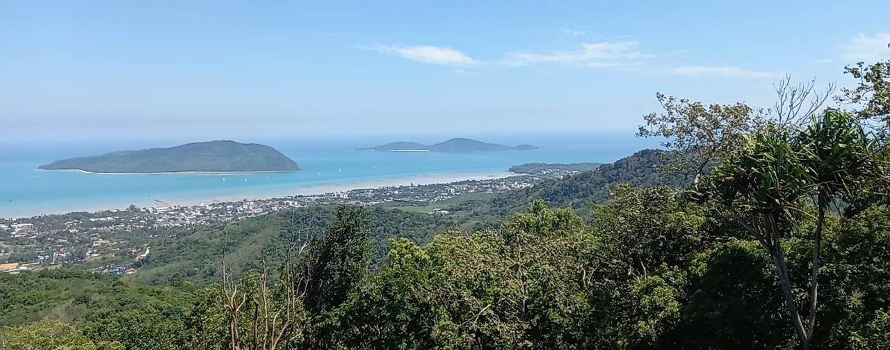 Патлатый Бродяга