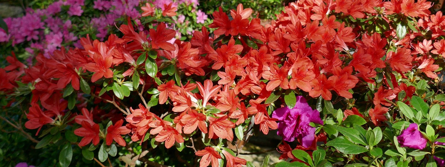 Новикова Татьяна