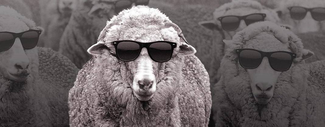 Теплый Кавказ