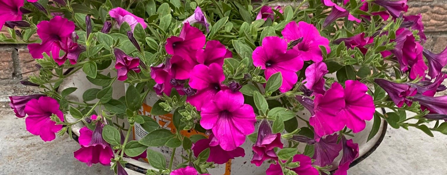 Сейчас вам расскажу