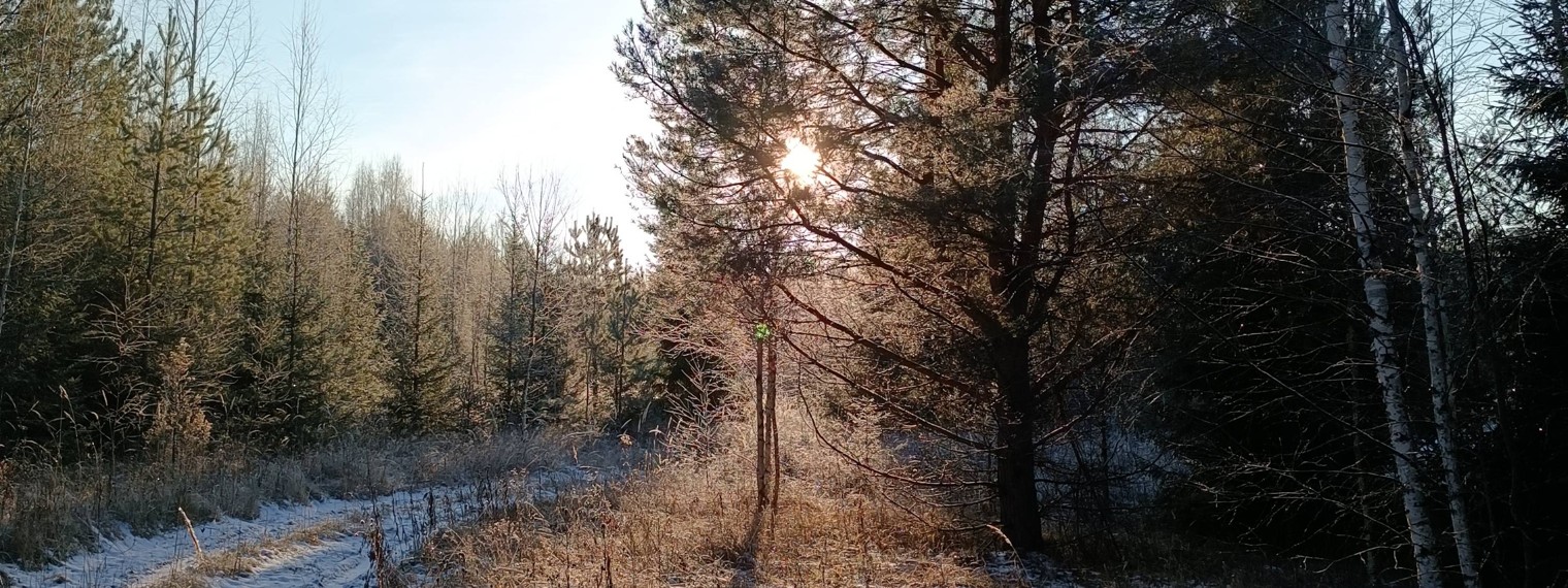 Два Охотника