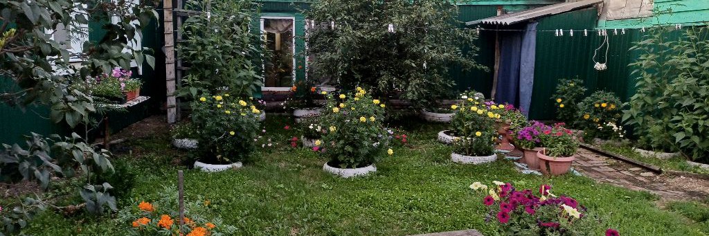 Инна Молчанова (писатель из сибирской глубинки)