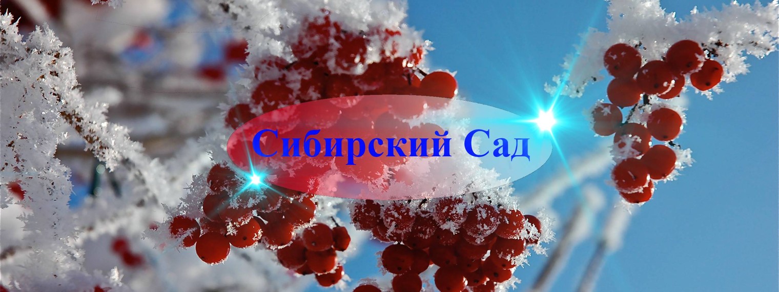 Сибирский Сад Людмила Борисовна