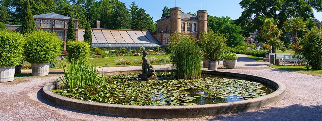 Поделки и идеи для дачи и дома