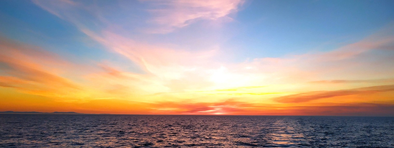 Барограф товара