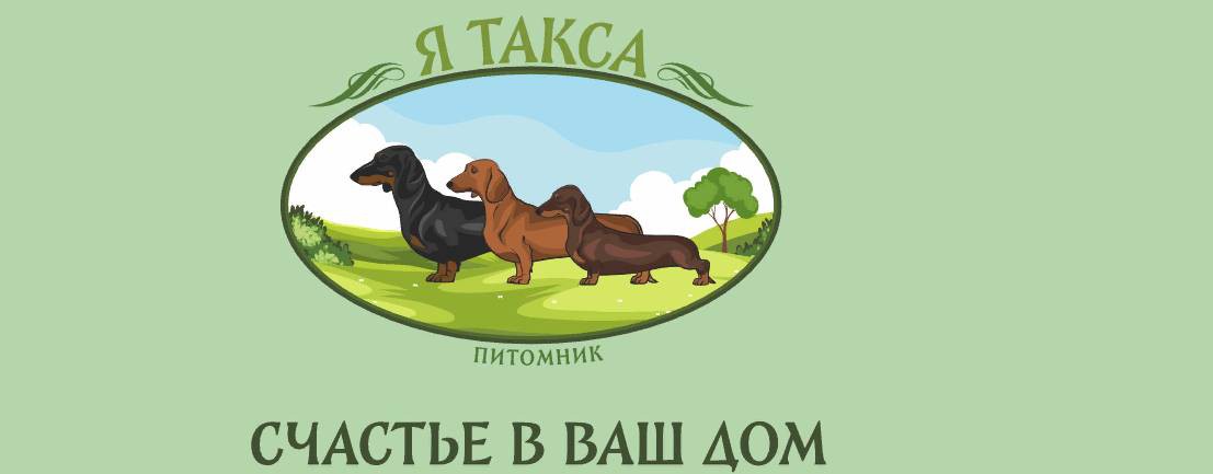 Я Такса | Питомник собак