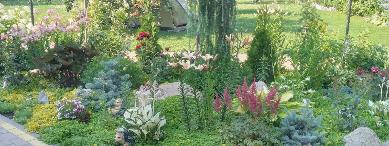 САДОВЫЕ И ЦВЕТОЧНЫЕ БУДНИ