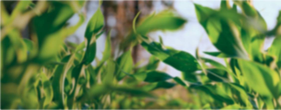 СамараАгроПоставка