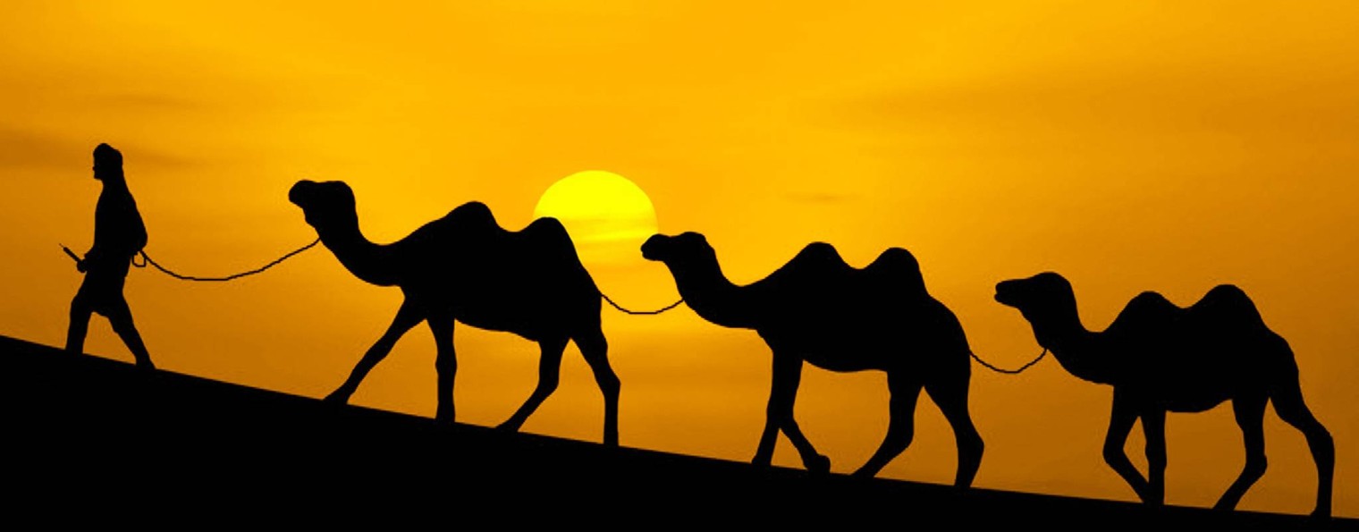 Арабский язык