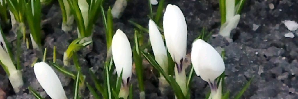 Сельские будни многодетной матушки