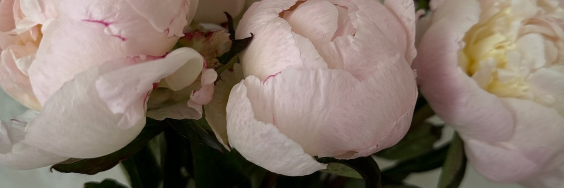 Марина Мохова