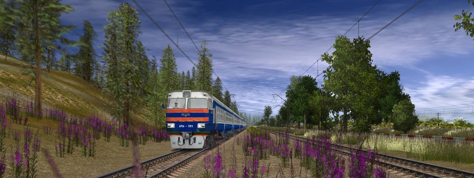 Поехавший Симуляторщик