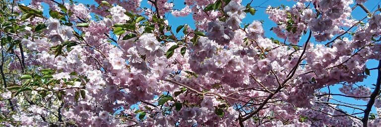 Екатерина из Питера