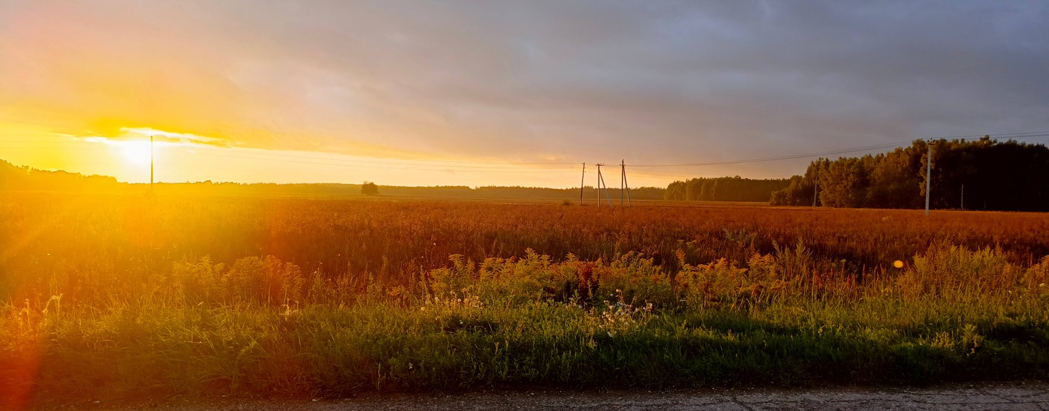 Моменты жизни