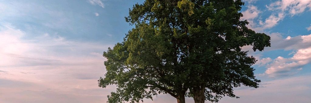 Федор Дубощит