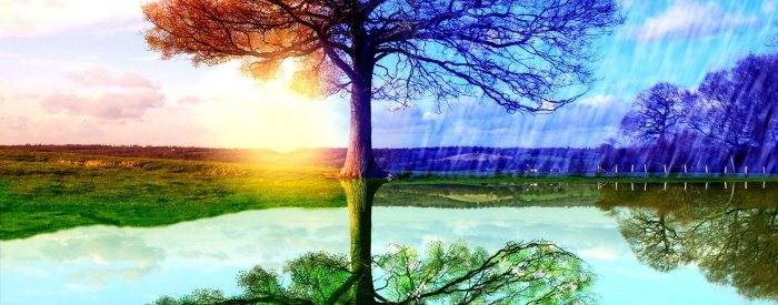 Роман Кошкин. Блог обо всем и не только!