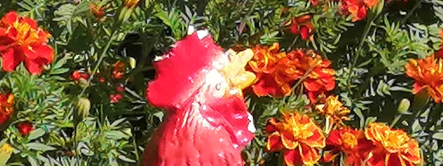 Алтай- Надежда&Николай Лунёвы