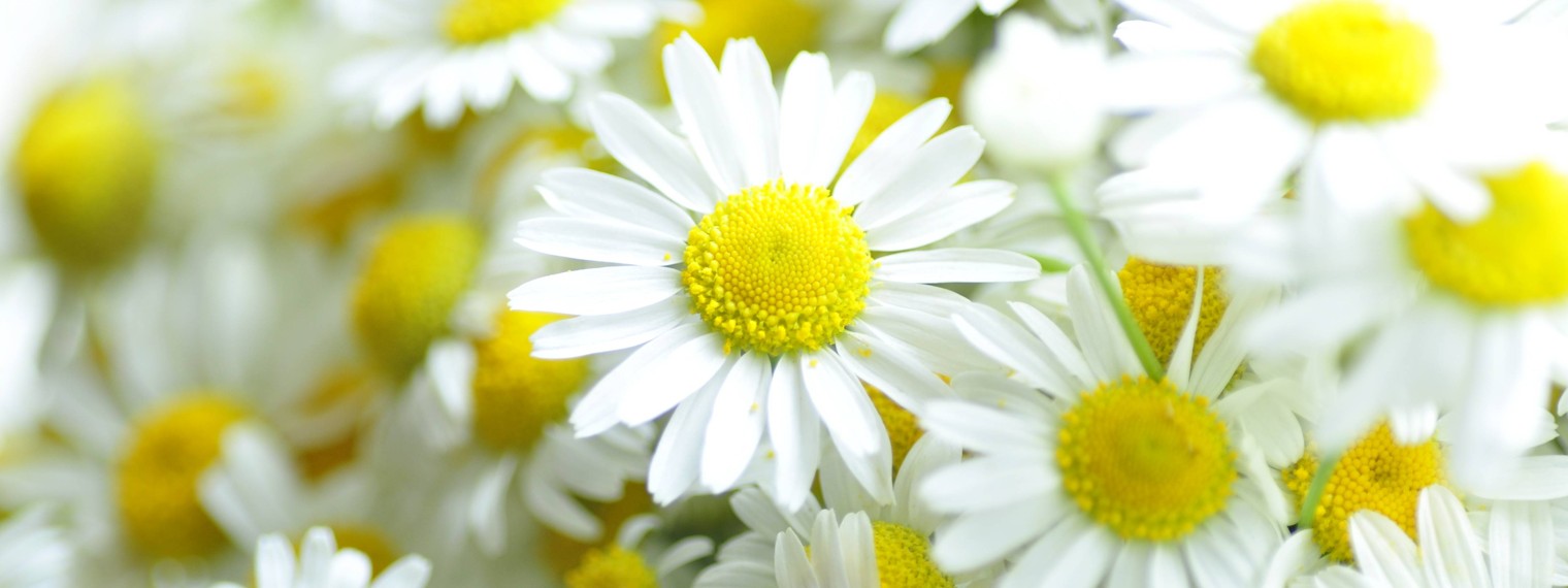 Костя и Ксюша Абрамович