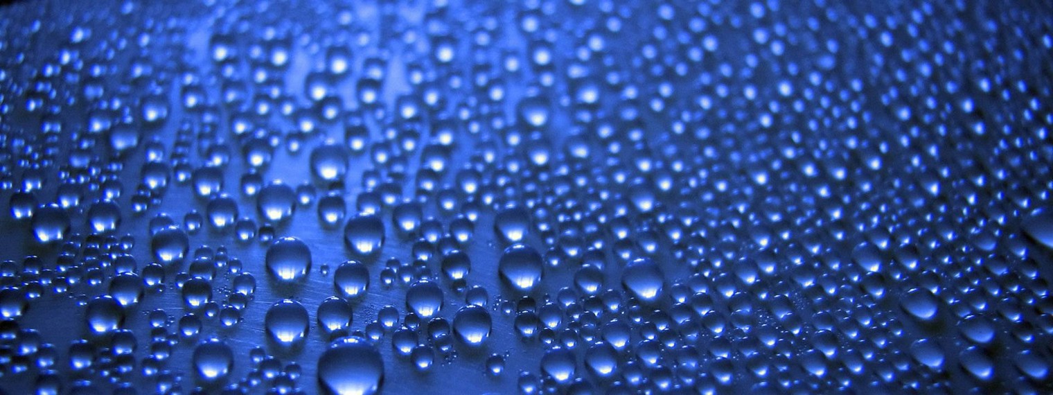 Михаил Дубина