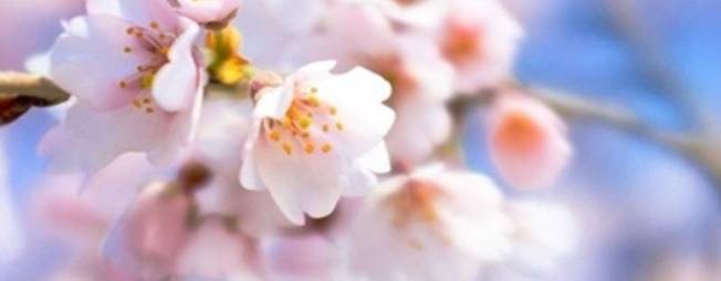 Галина Лисина репетитор по английскому