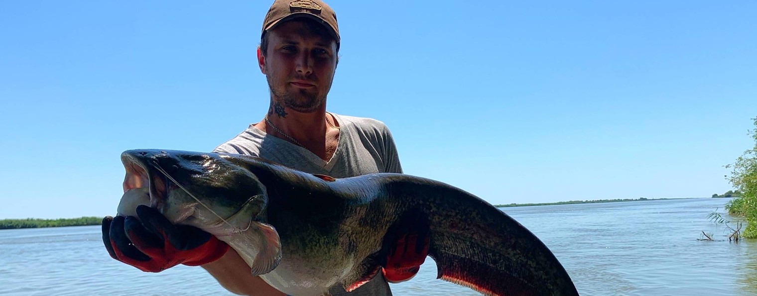 Дикая Земля