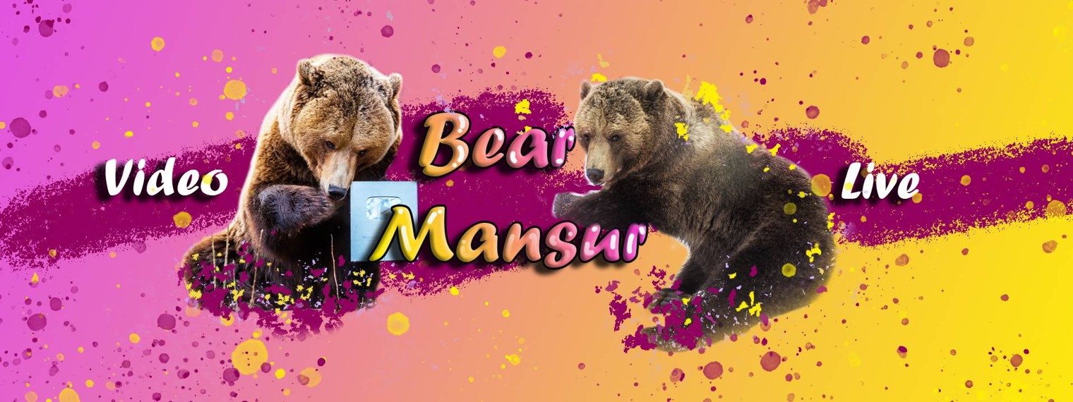 Медведь Мансур