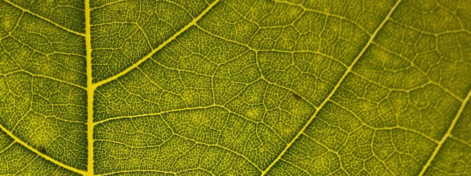 Фасилитация.PRO