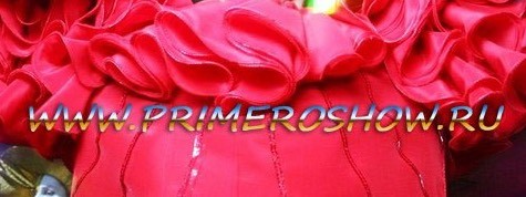 Артисты на праздник Ходулисты "ПримероШОу"