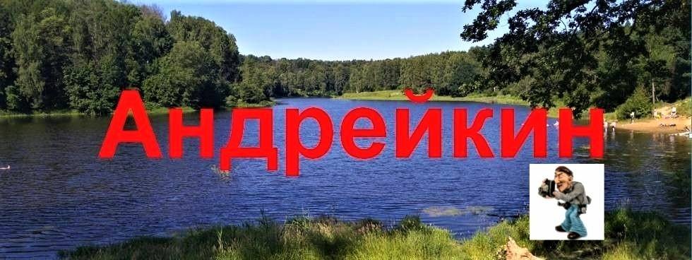 Андрейкин