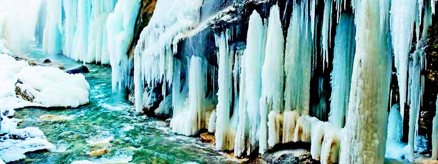 Дом по имени Земля