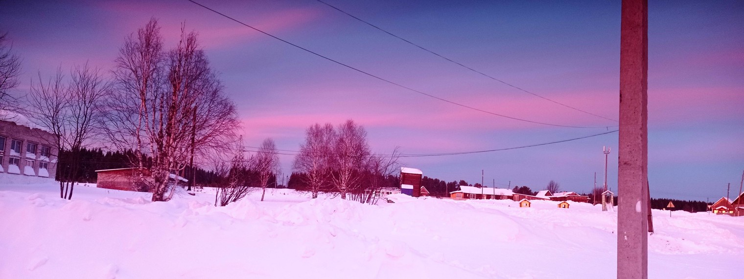 Елена Трифонова