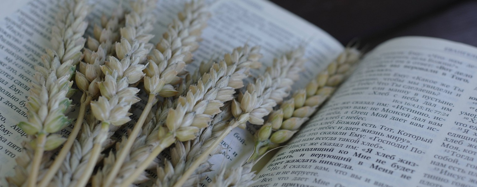 Библейская Церковь РЕТО Надежда Москва