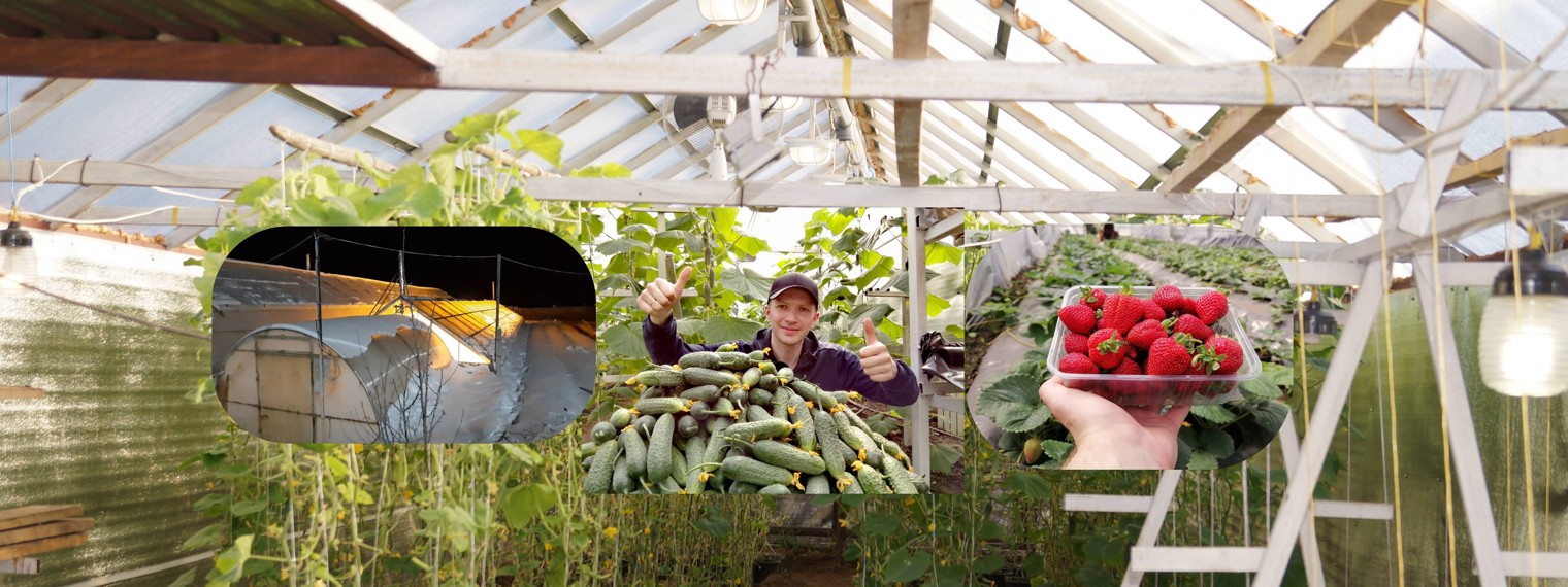 ТЕПЛИЦА-ТЕРМОС ТВ