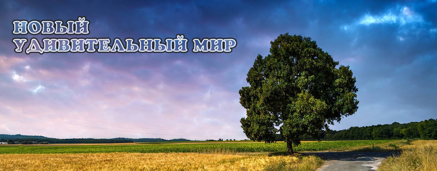 Новый удивительный мир
